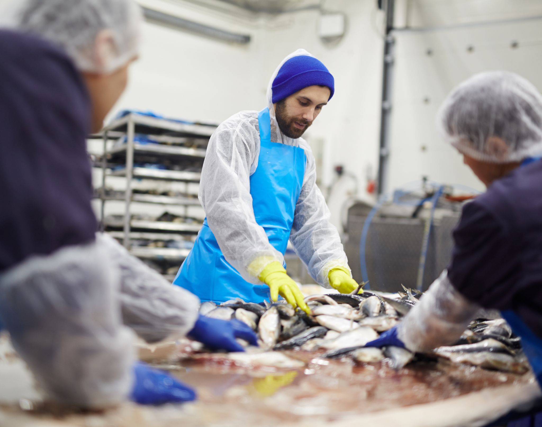 Guidance for governments - Global Dialogue on Seafood Traceability